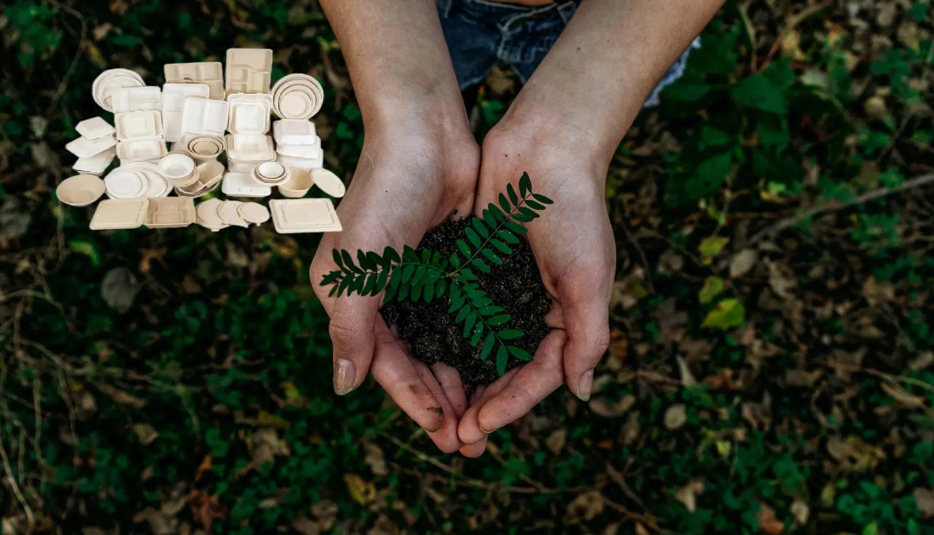 BioGreen Pak Your One-Stop Eco Friendly Packaging Solution Provider ...